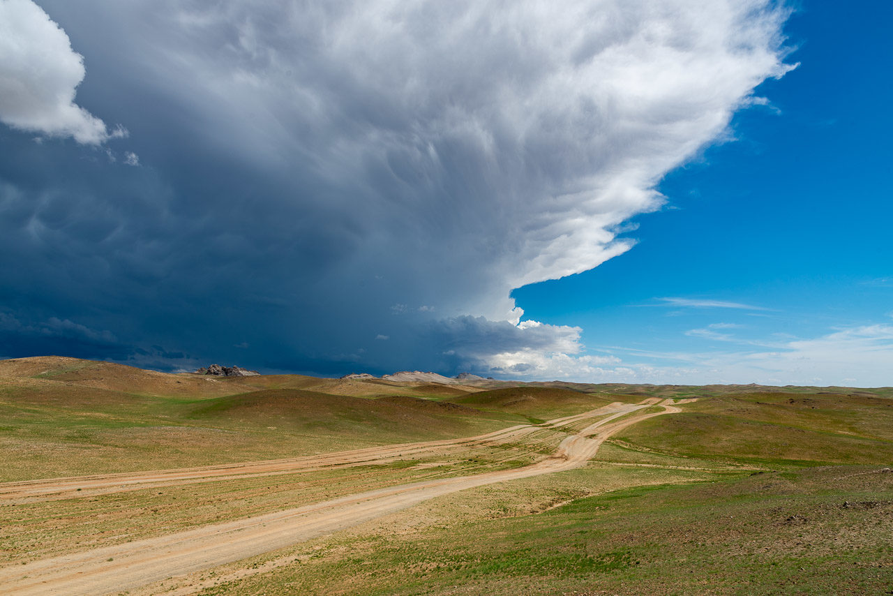 Mongolská step – Filip Weber